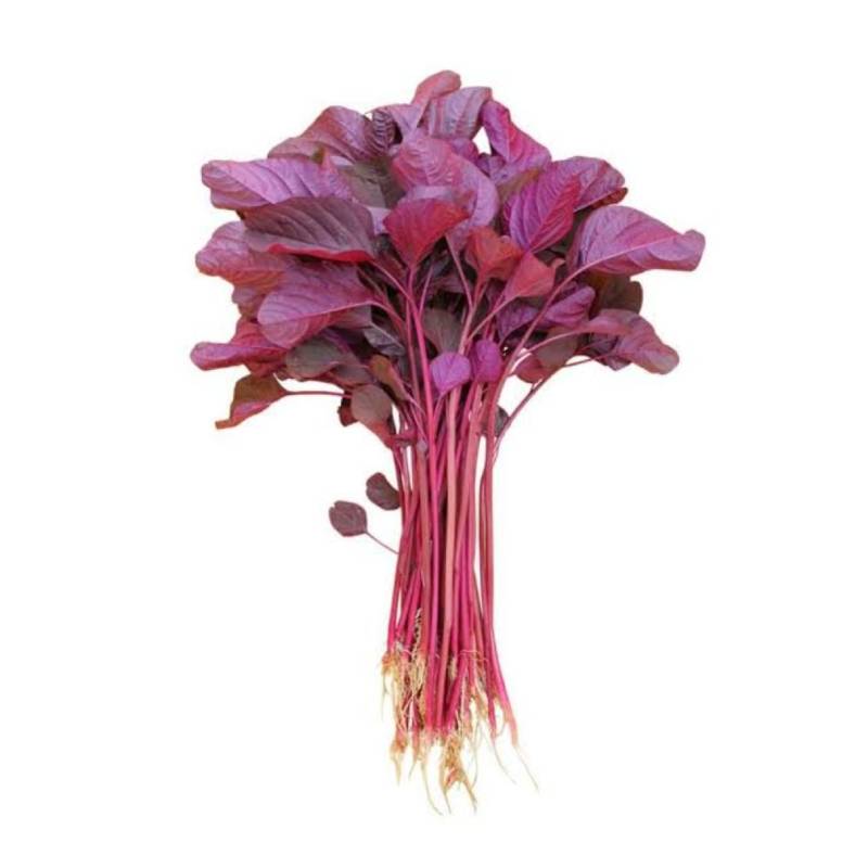 Sigappu Keerai (Thandu Keerai, Red Spinach) in Sigappu keerai (Thandu ...